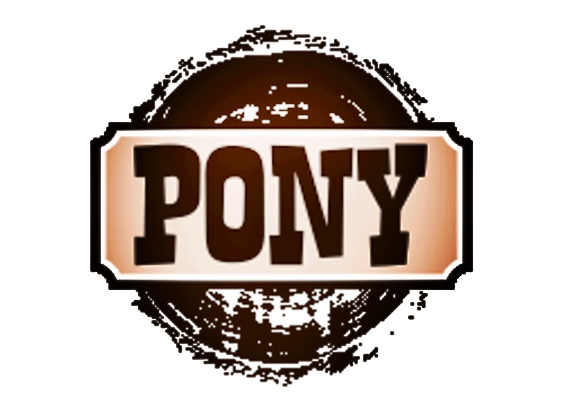 Pony: Explore the Best Features of this New High-Performance ...