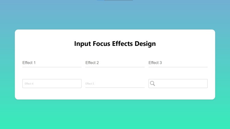Input Focus Effects Design Using Html Css And Javascript With Source
