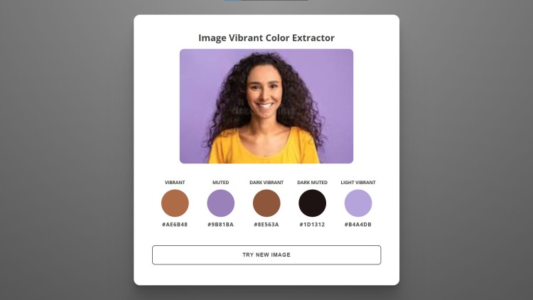 Image Vibrant Color Extractor Using Html Css And Javascript With Source Code Sourcecodester 2125