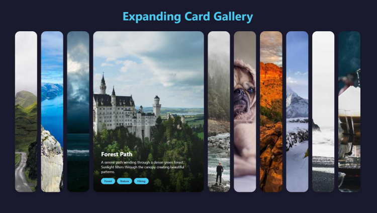 Expanding Card Gallery Using Html Css And Javascript With Source Code