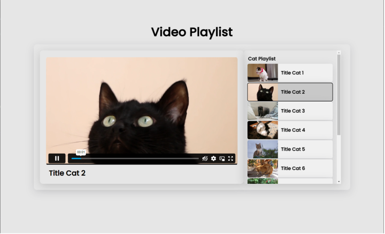 Video Playlist Using Html Css And Javascript With Source Sourcecodester