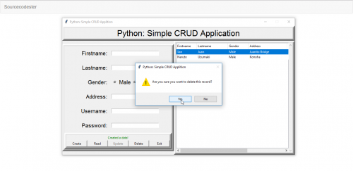Python Simple Crud Application Using Sqlite Part 2 Free Source