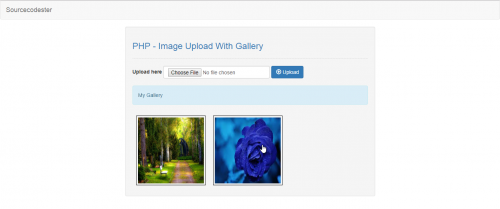 Php Image Upload With Gallery Free Source Code And Tutorials
