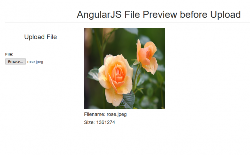 AngularJS File Preview before Upload | Free Source Code & Tutorials AngularJS File Preview before Upload | Free Source Code & Tutorials