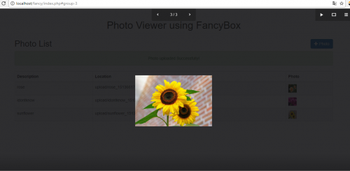 Gallery Viewer Using Fancybox Free Source Code And Tutorials