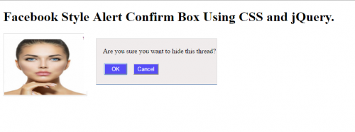 Facebook Style Alert Confirm Box Using Css And Jquery